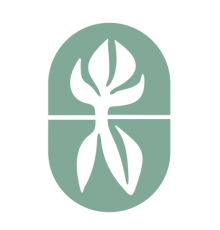 Decorative Products – en-novalis